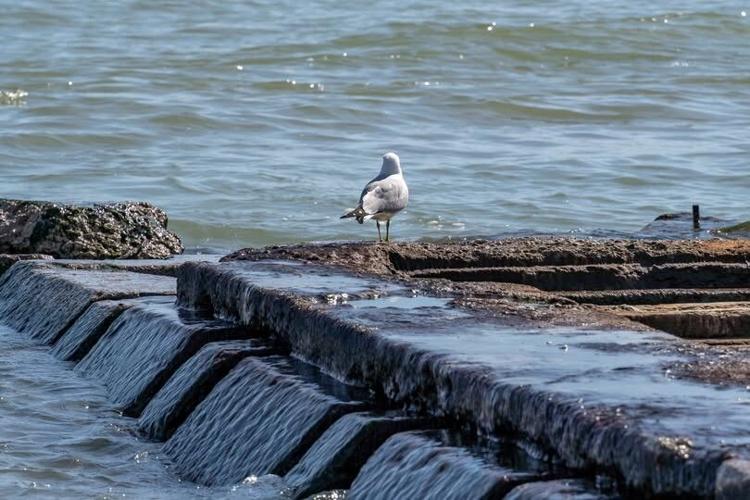 Kenosha marks boating season with 67th Blessing of the Fleet