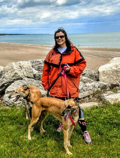 Curious Kenosha: Greyhounds: Up close and personal