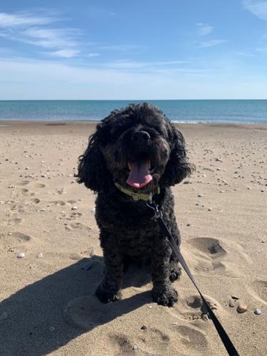 Local parathlete trains and competes at Rec Plex Sunday