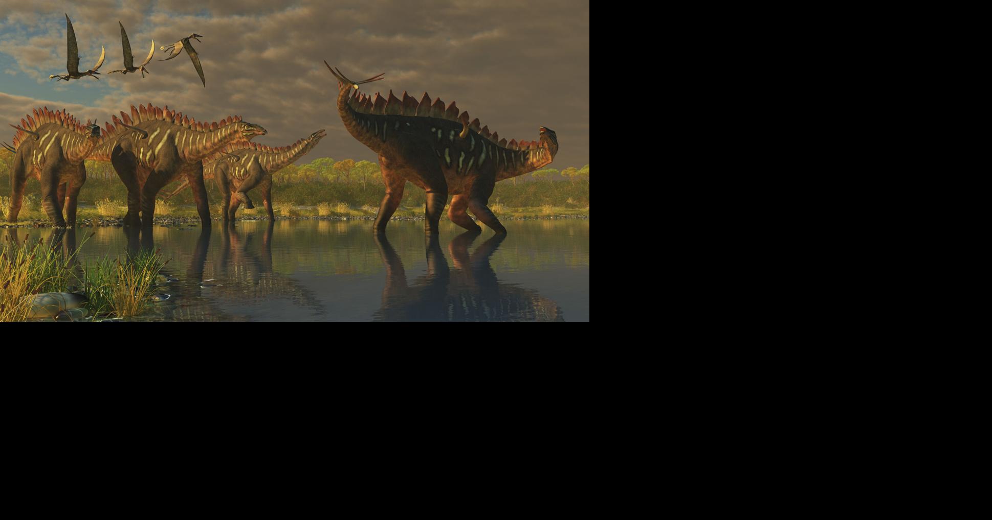 Curious Kids: How did birds survive while dinosaurs went extinct?