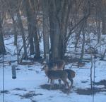 'Monument to the Unborn' planned at All Saints Cemetery