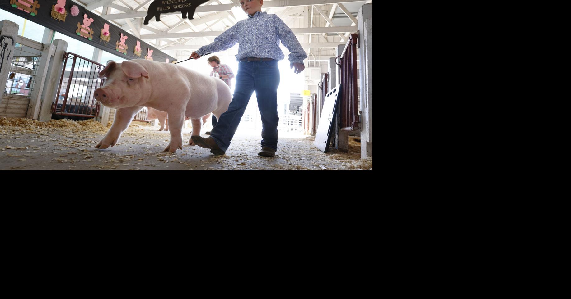 Kenosha County Fair opens, expected to draw thousands