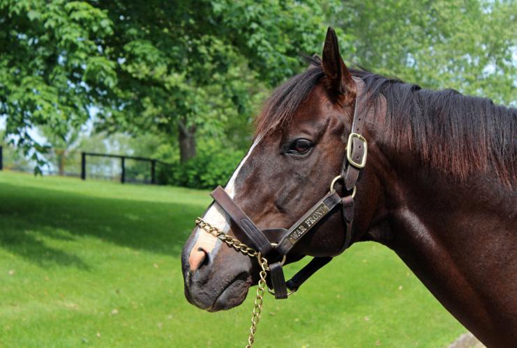 Roads Traveled: Head to Kentucky for equine adventures