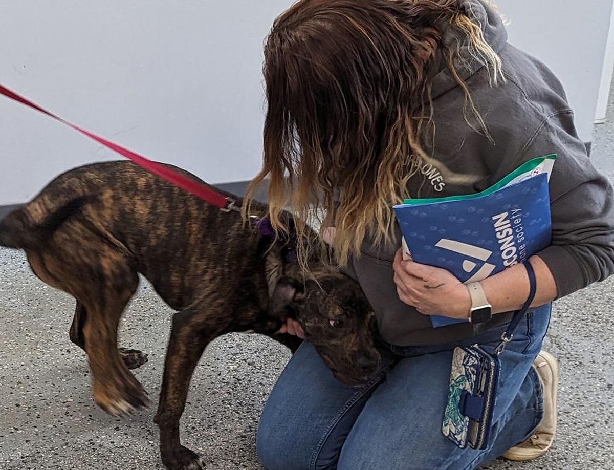 Wisconsin Humane Society's Kenosha campus has special dog