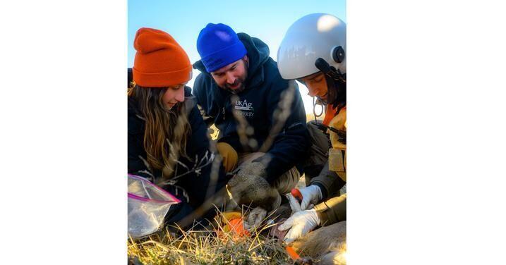 Deer2 | News | Kentucky New Era