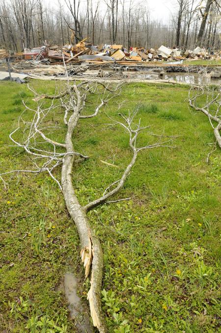 Tornado hits Mannington | News | Kentucky New Era