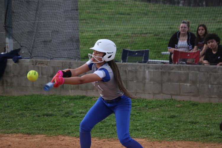 Lady Falcons take down Lady Warriors 9-1 | Sports | Kentucky New Era