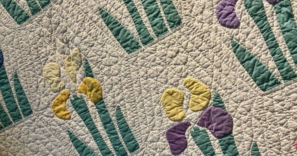 Quilt Iris | News | Kentucky New Era