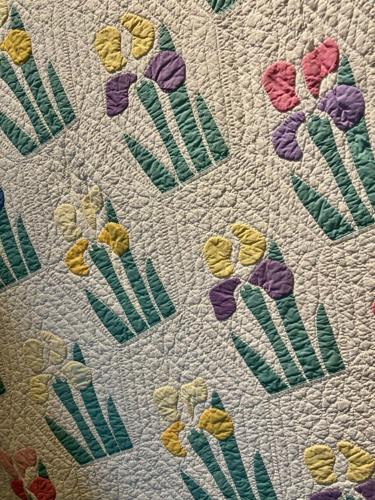 Quilt Iris | News | Kentucky New Era
