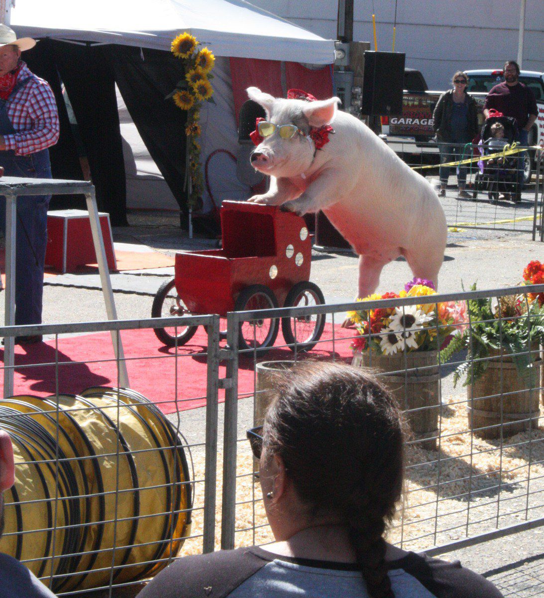 Rain shuts down Ham Festival Friday, record crowd shows up Saturday ...