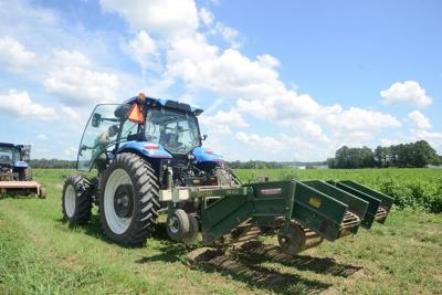 A look at North Carolina's agriculture heritage | Local News | kinston.com