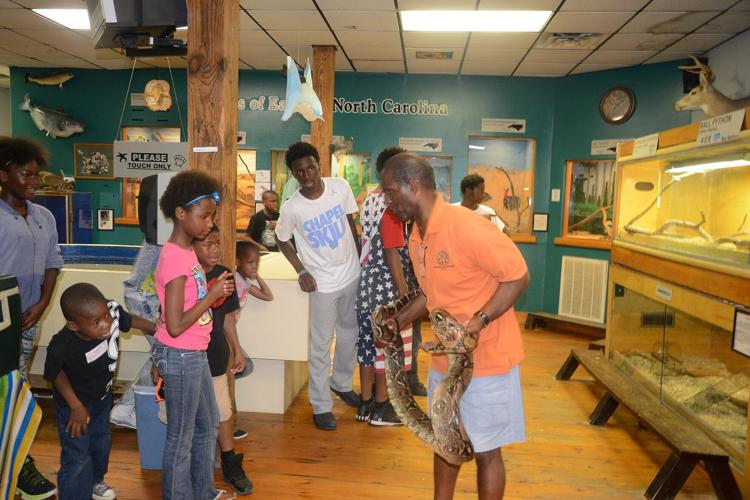 Neuseway Nature Center 20th Anniversary celebration | Local News ...