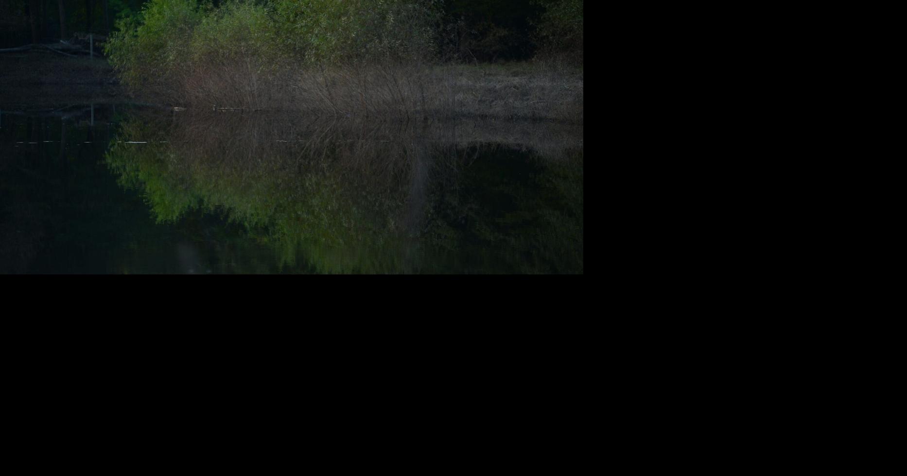 PHOTOS: Neuseway Nature Park | Local News | kinston.com