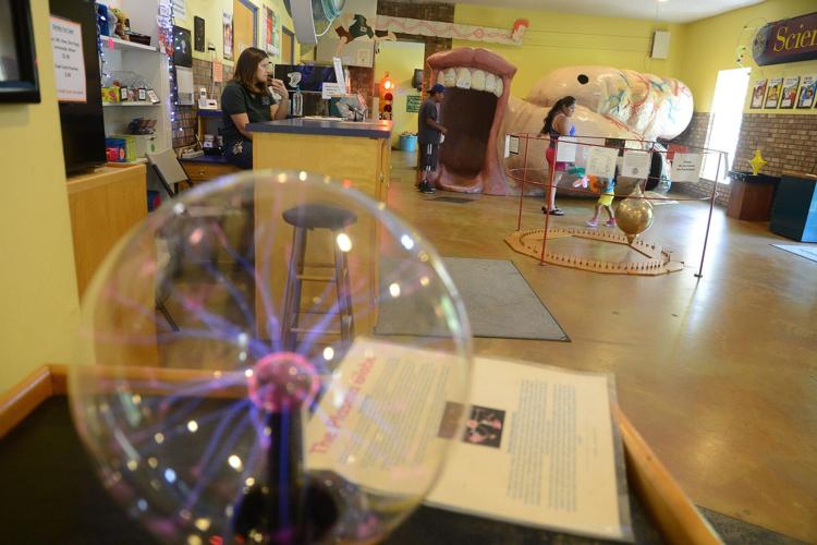 Neuseway Nature Center 20th Anniversary celebration | Local News ...