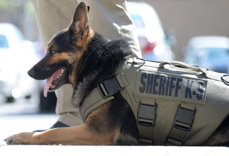 PHOTOS: Search and Rescue Team | Local News | kinston.com