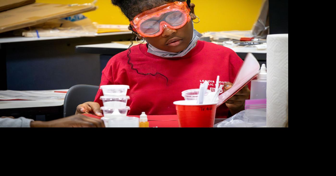 More than a label: 3 LCPS schools showcase power of inquiry-based ...