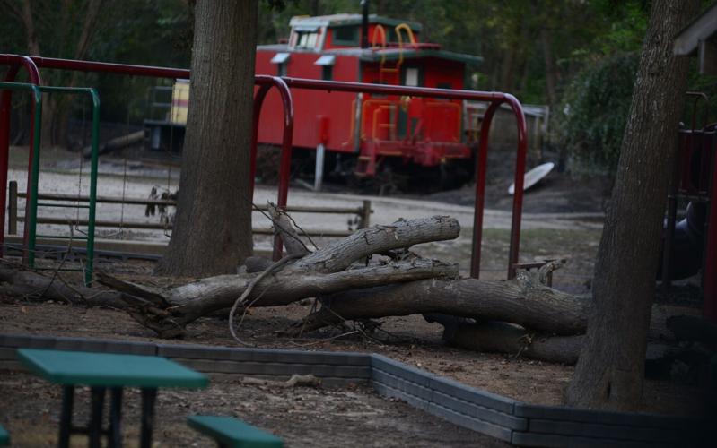 PHOTOS: Neuseway Nature Park | Local News | kinston.com