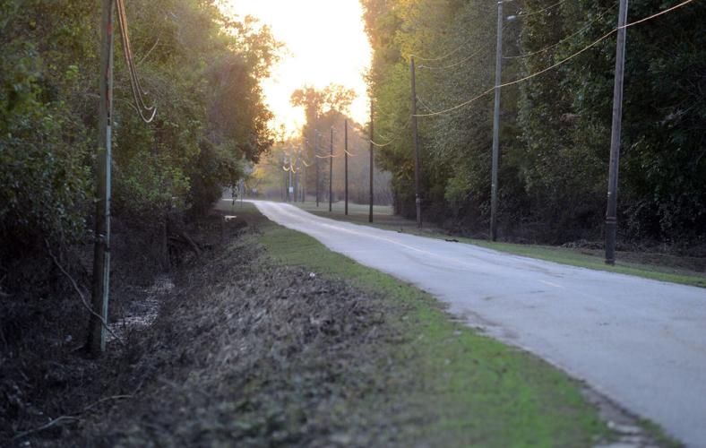 PHOTOS: Neuseway Nature Park | Local News | kinston.com