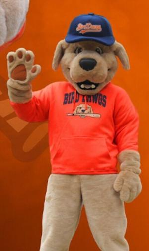 Bird Dawgs announce team mascot | Sports | kinston.com