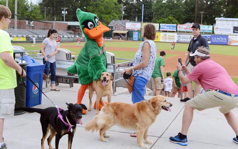 PHOTOS: Week in Photos | Local News | kinston.com