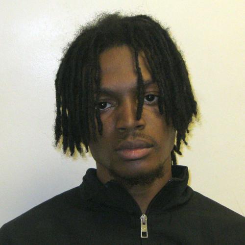 Shots fired call leads to two arrests | Local News | kinston.com