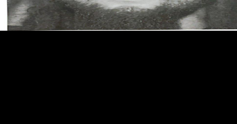 Search for suspect Robert Lee Strother may stretch into evening hours ...