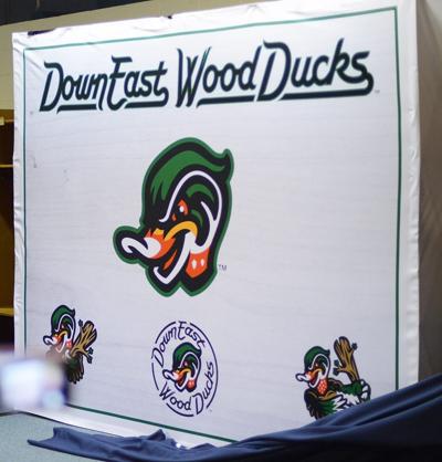 Wood Ducks joining Kids Fishing Day at Neuseway Nature Center | Local ...