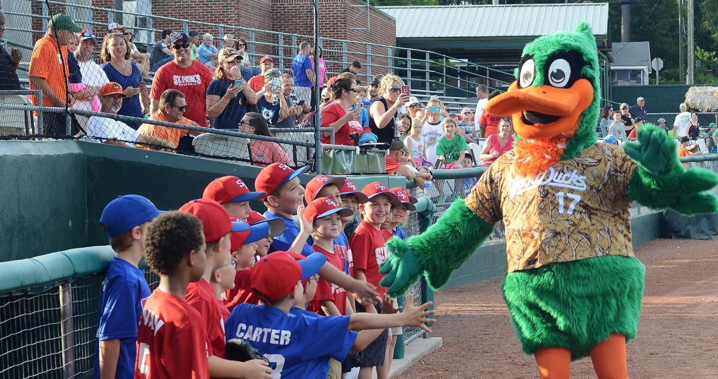 At the halfway point, Wood Ducks still going strong in Kinston | Local ...