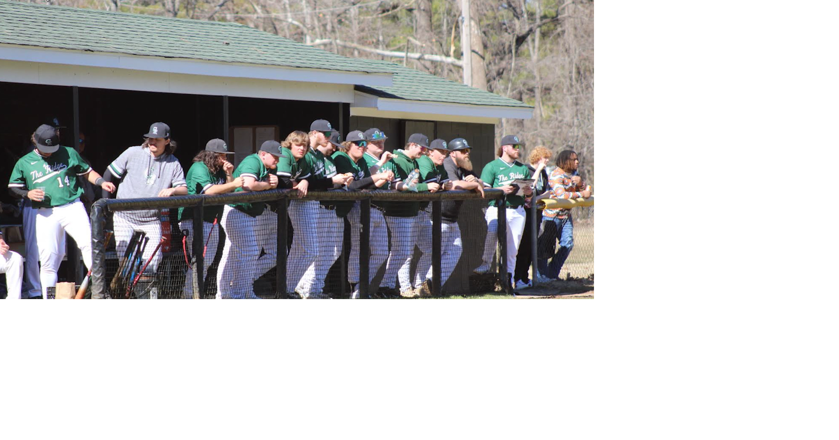 Crowley's Ridge Pioneers earn two all-conference awards in baseball ...