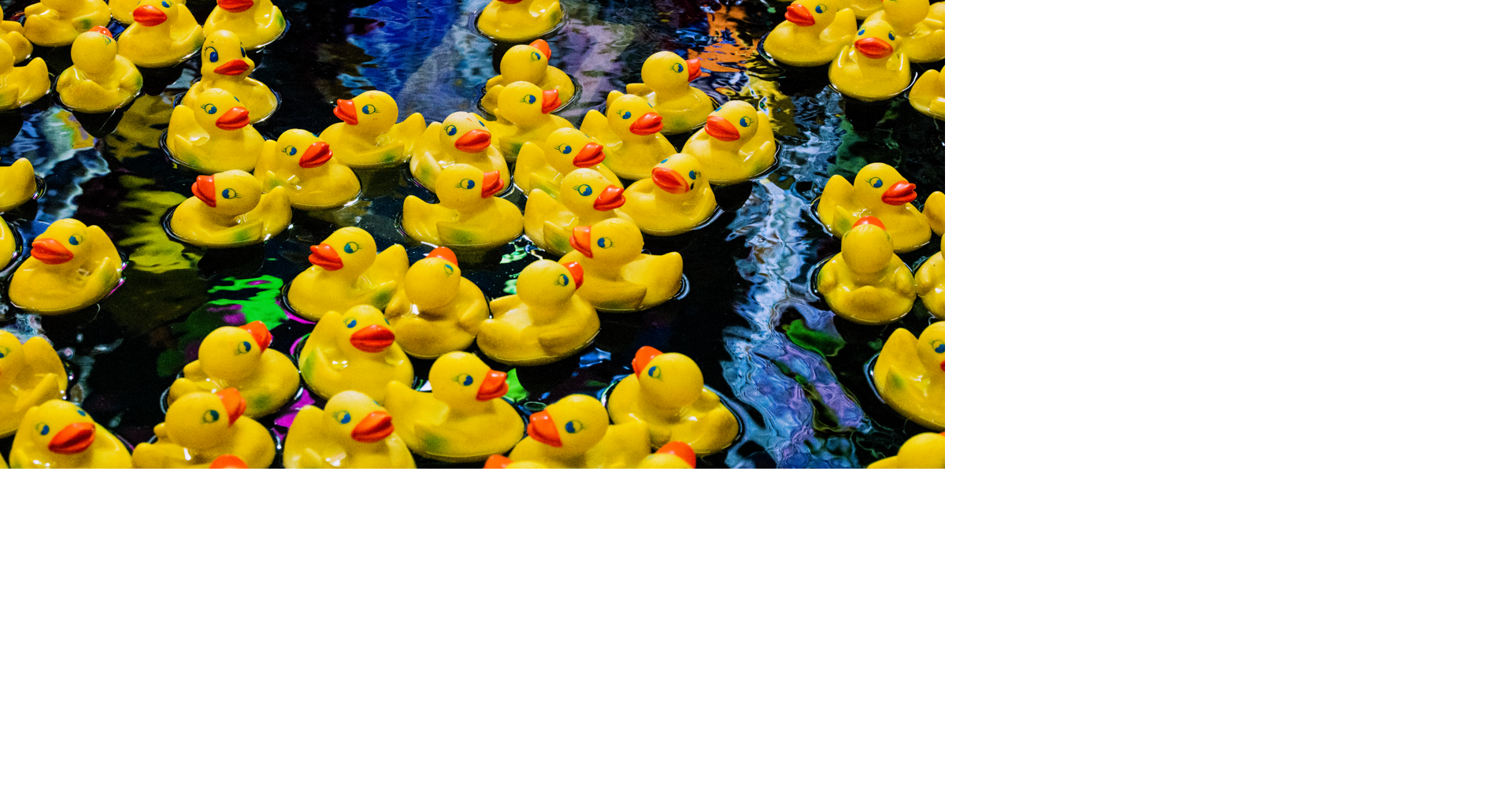 Jonesboro hotel hosts Rubber Ducky Derby to support animal clinic ...