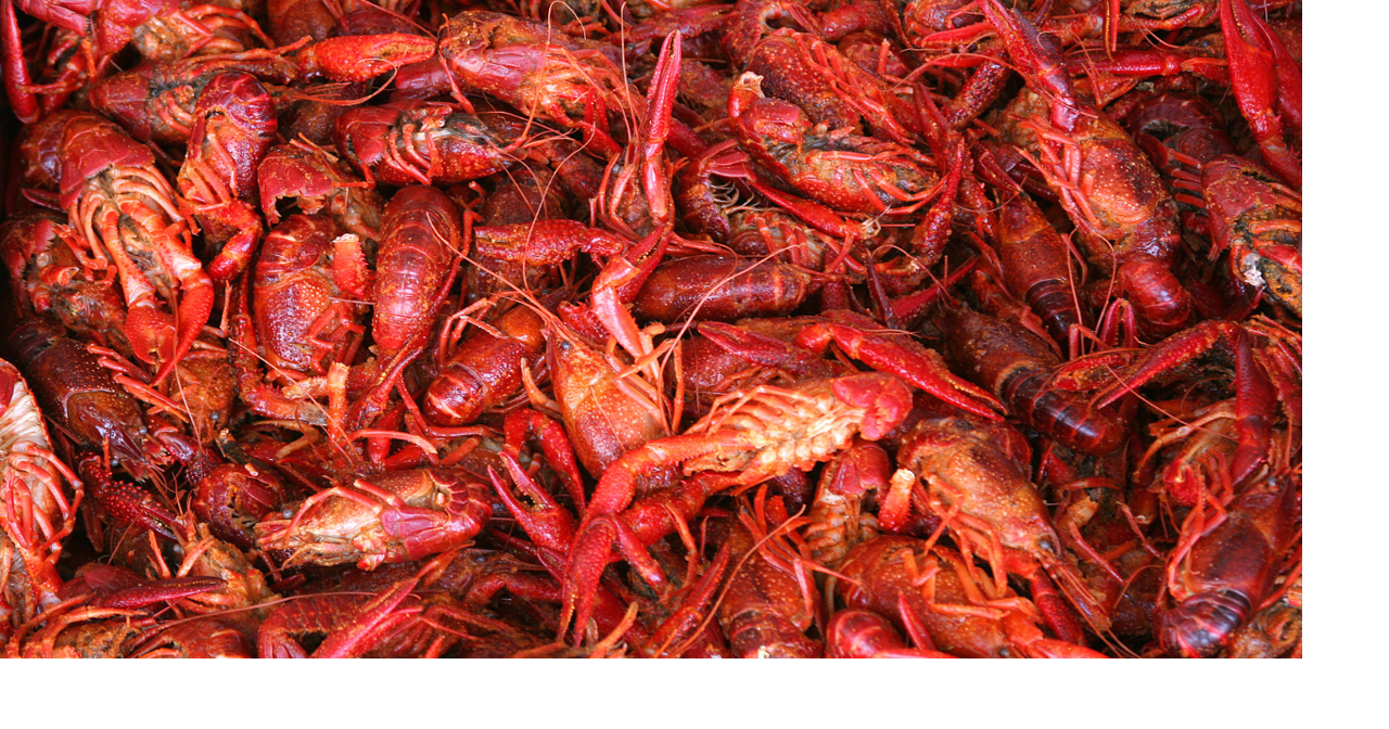 Delta Crawfish Festival returns to Jonesboro with food, music, and fun ...
