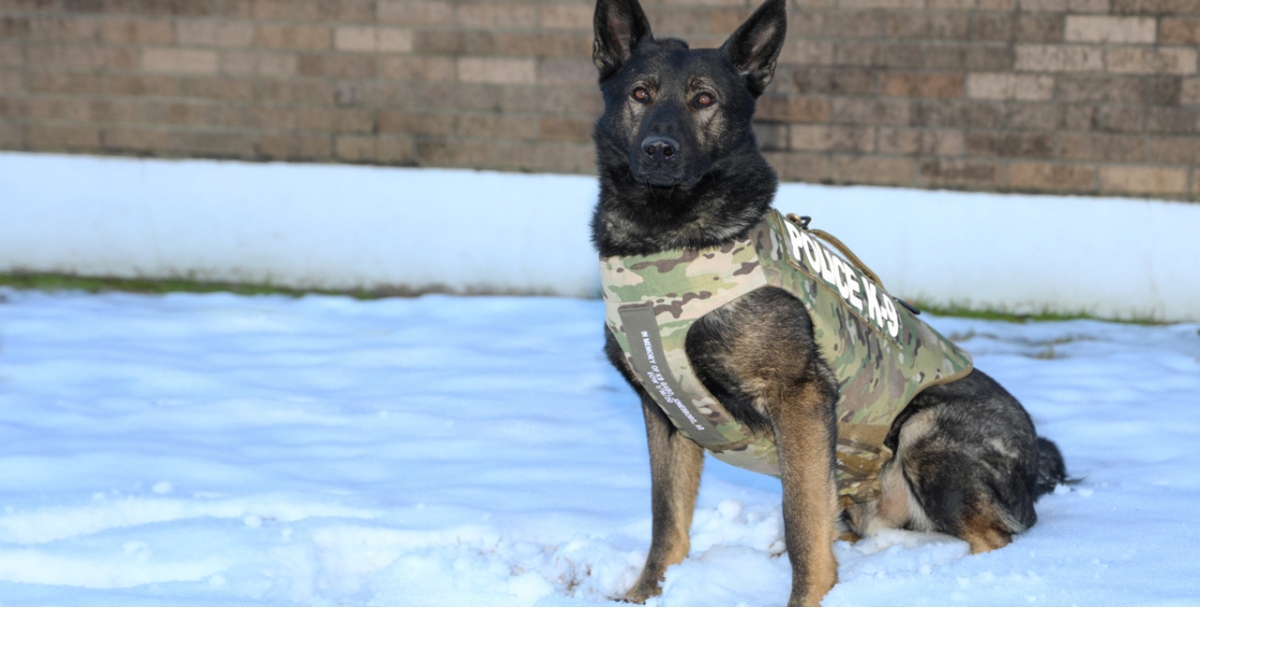 Jonesboro K9 officer receives protective vest in memory of fallen K9 ...