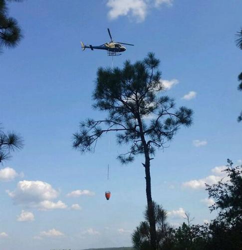 Wildfire on Kisatchie National Forest Update | Local News | klax-tv.com