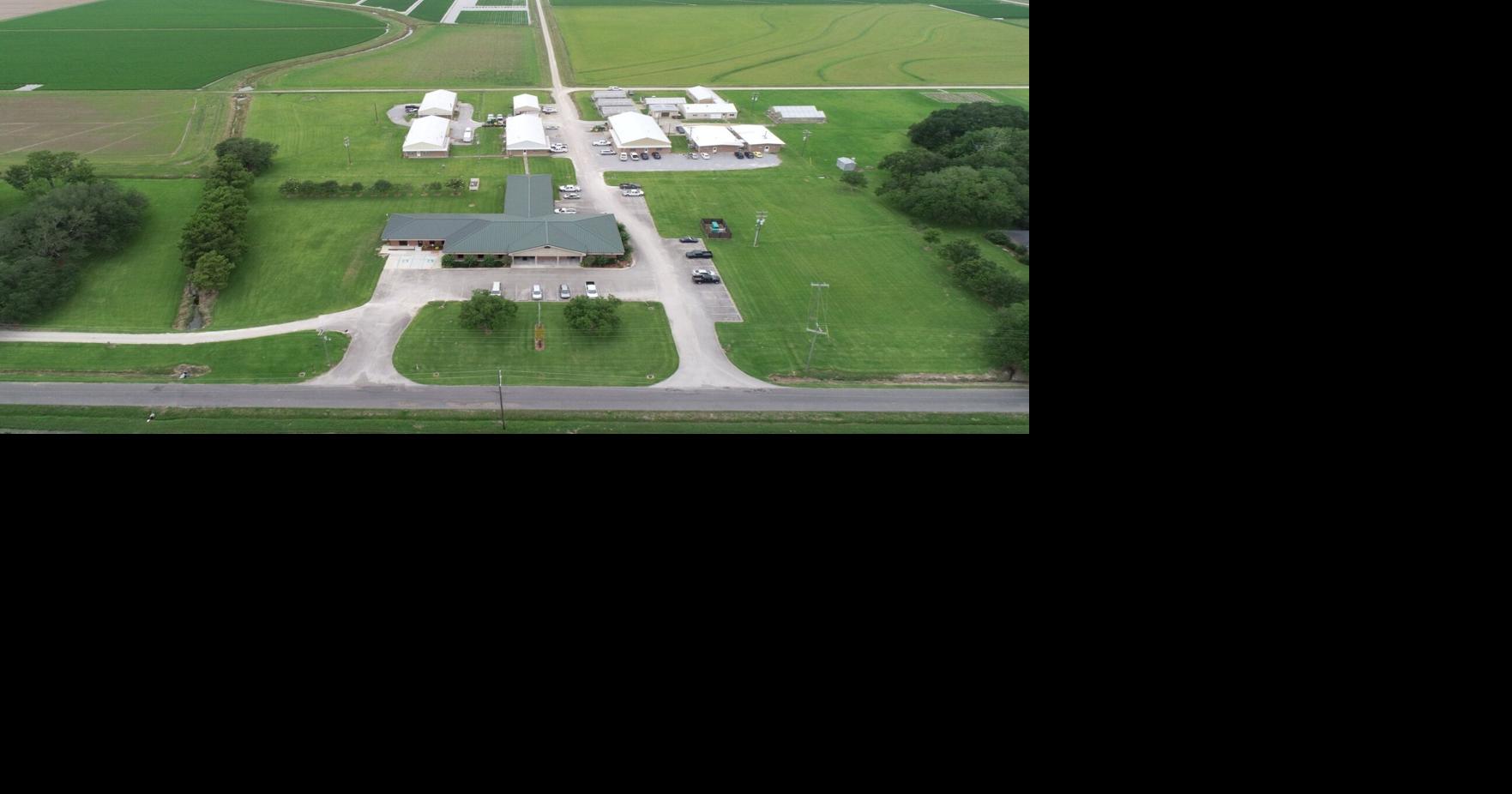 Paid Internship Opportunity at LSU Ag Center | Local News | klax-tv.com