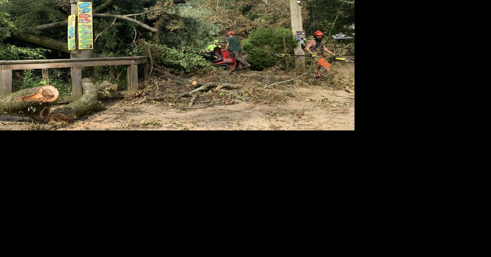 Recap of Monday’s Hurricane Laura Recovery Efforts | Local News | klax ...