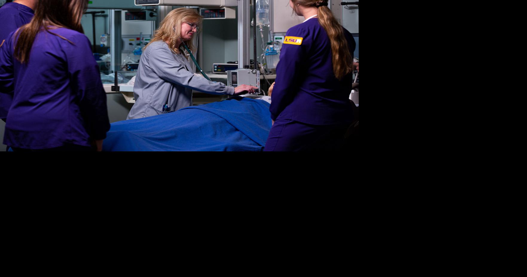 LSUA School of Nursing Receives Healthcare Occupations Program Grant ...