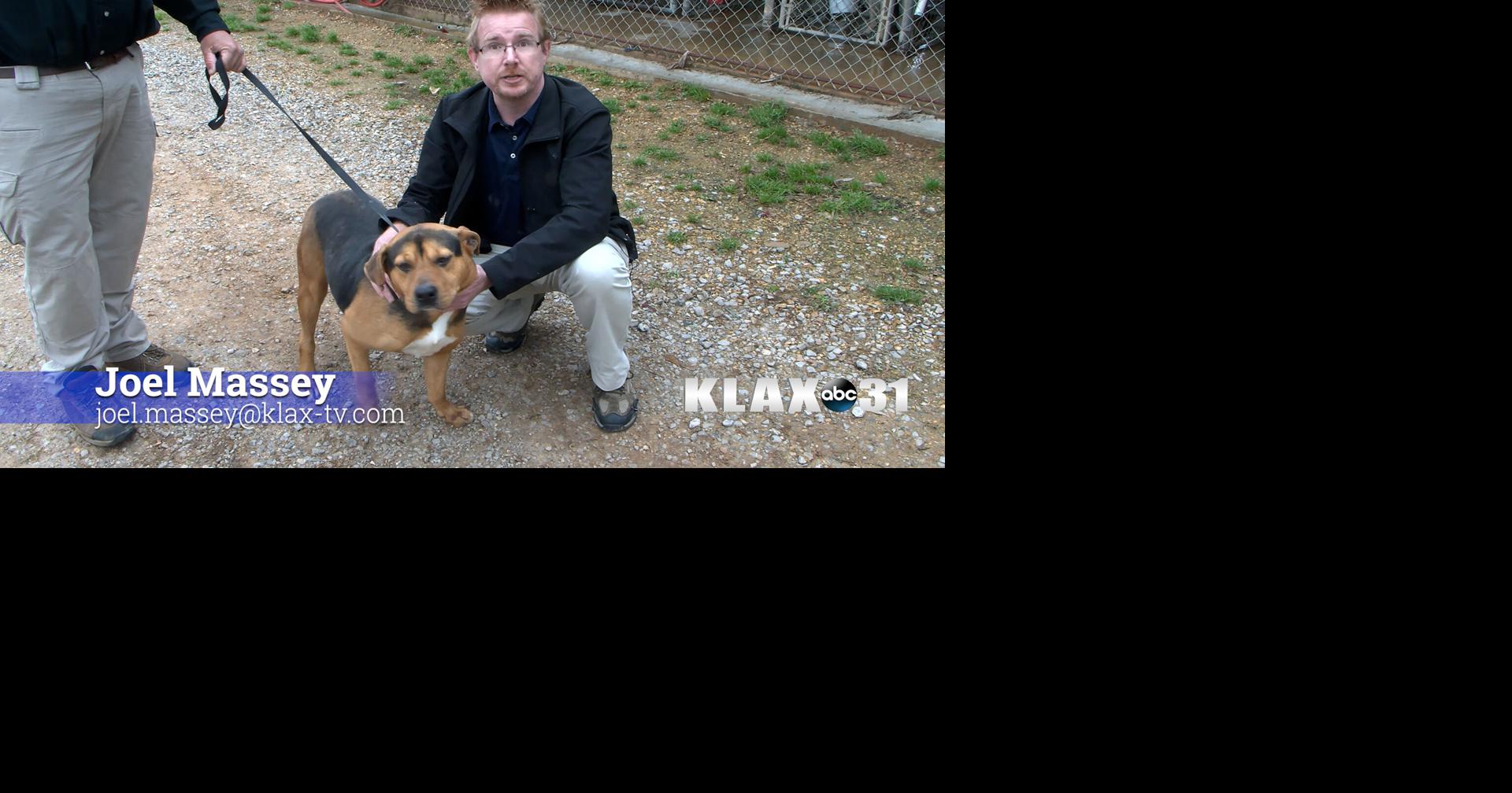 Humane Society of Louisiana: Grant Parish Animal Control Partnership an Example to the State ...