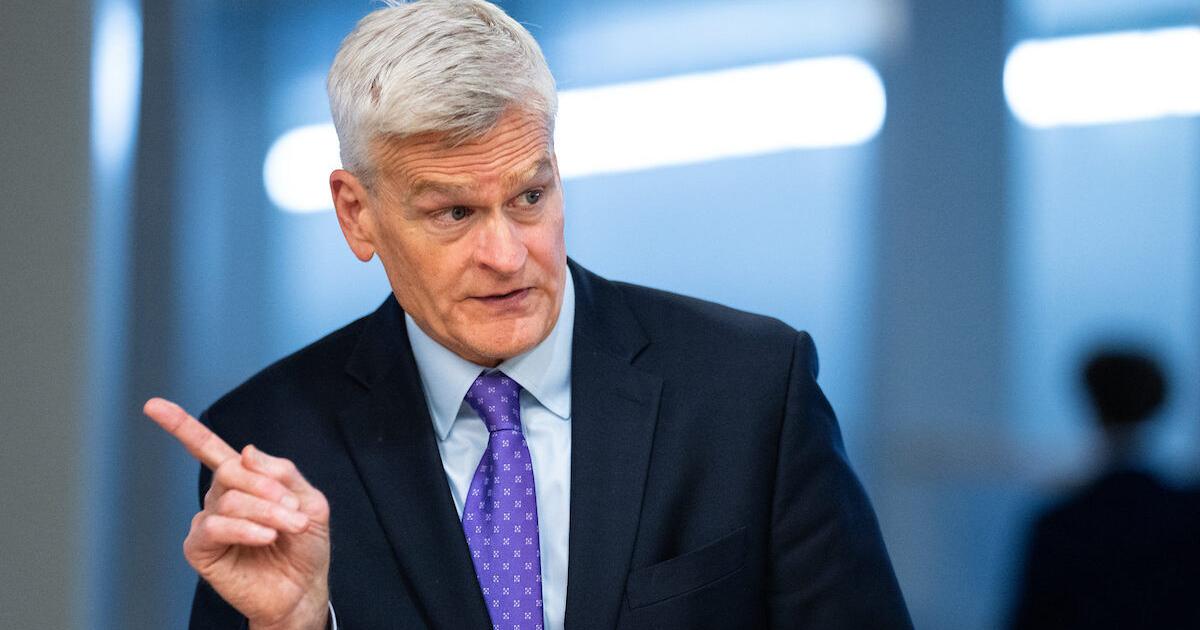 Cassidy Announces $320,000 for Alexandria Transportation Projects ...