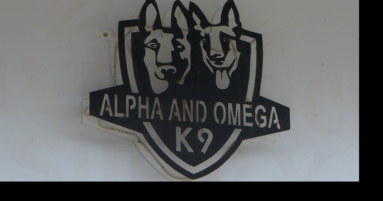 Dog Owner Seeks Help to Stop Dog Abuse at Alpha and Omega K9 Training ...