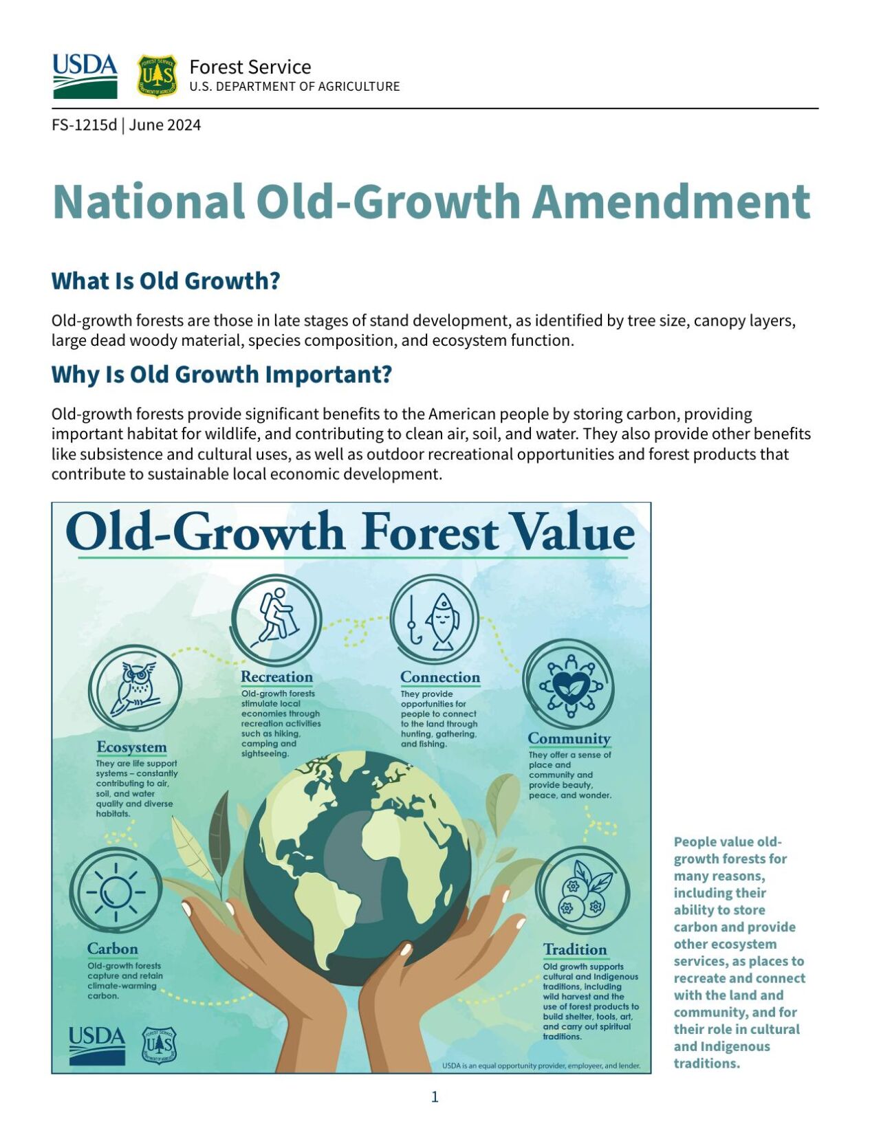 USDA Forest Service addresses National Old Growth Amendment | Local ...
