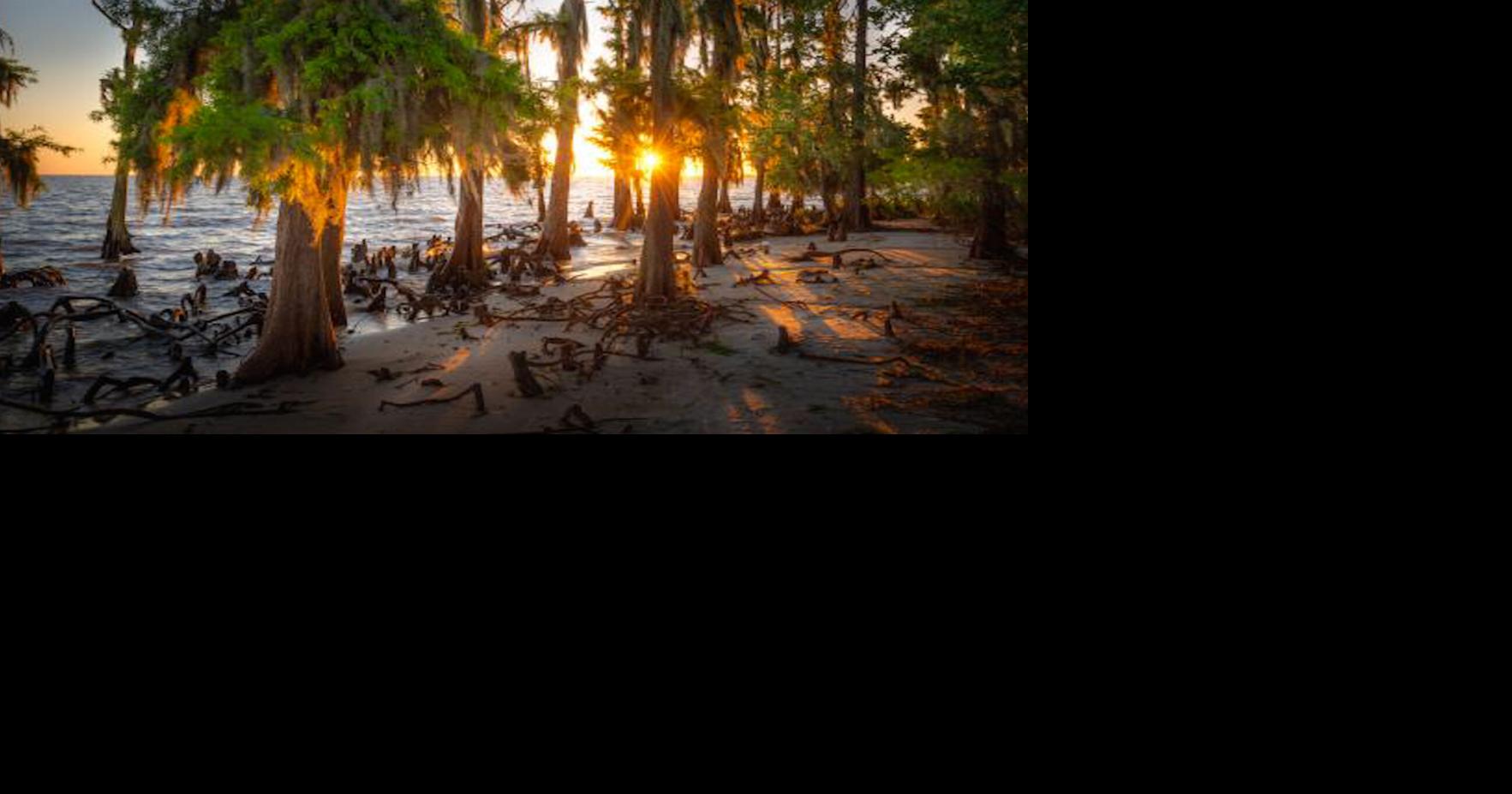 Ghosts, ghouls, and good times throughout October at Louisiana State ...