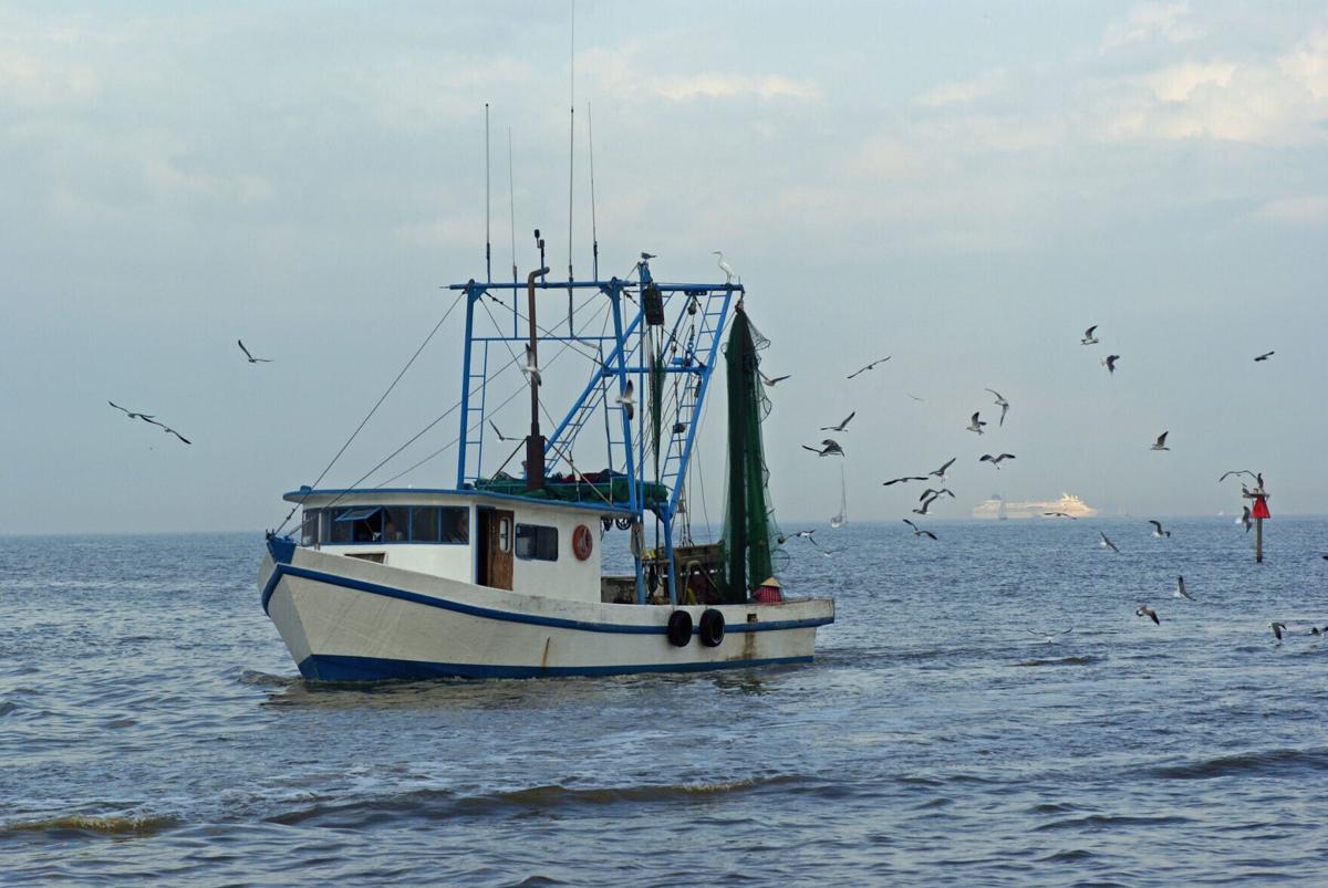 Landry signs seafood labeling bill into law | State News | klax-tv.com