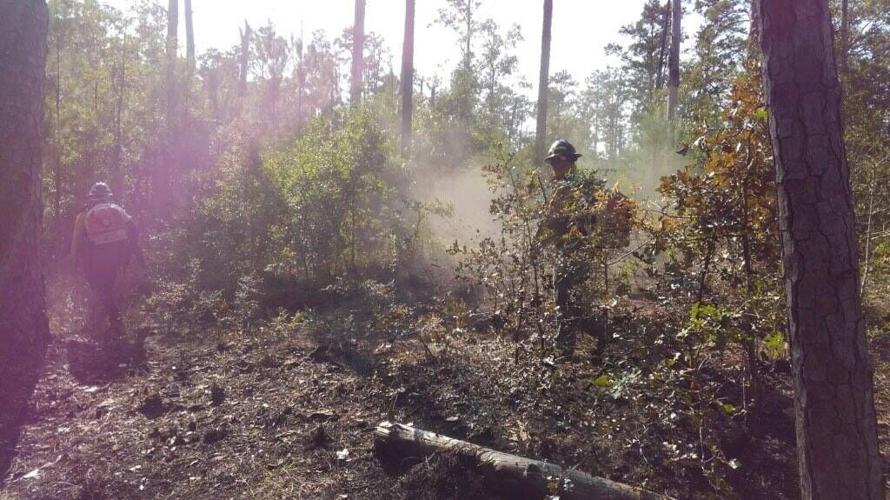 Wildfire on Kisatchie National Forest Update | Local News | klax-tv.com