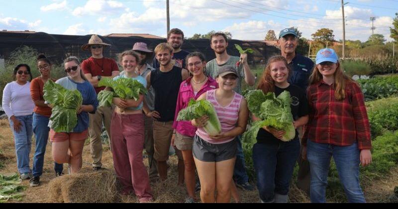 The LSU AgCenter will begin a free, yearlong training program for ...