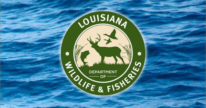 Spring Bayou WMA Patrol Leads to Illegal Drug and Firearm Violations ...