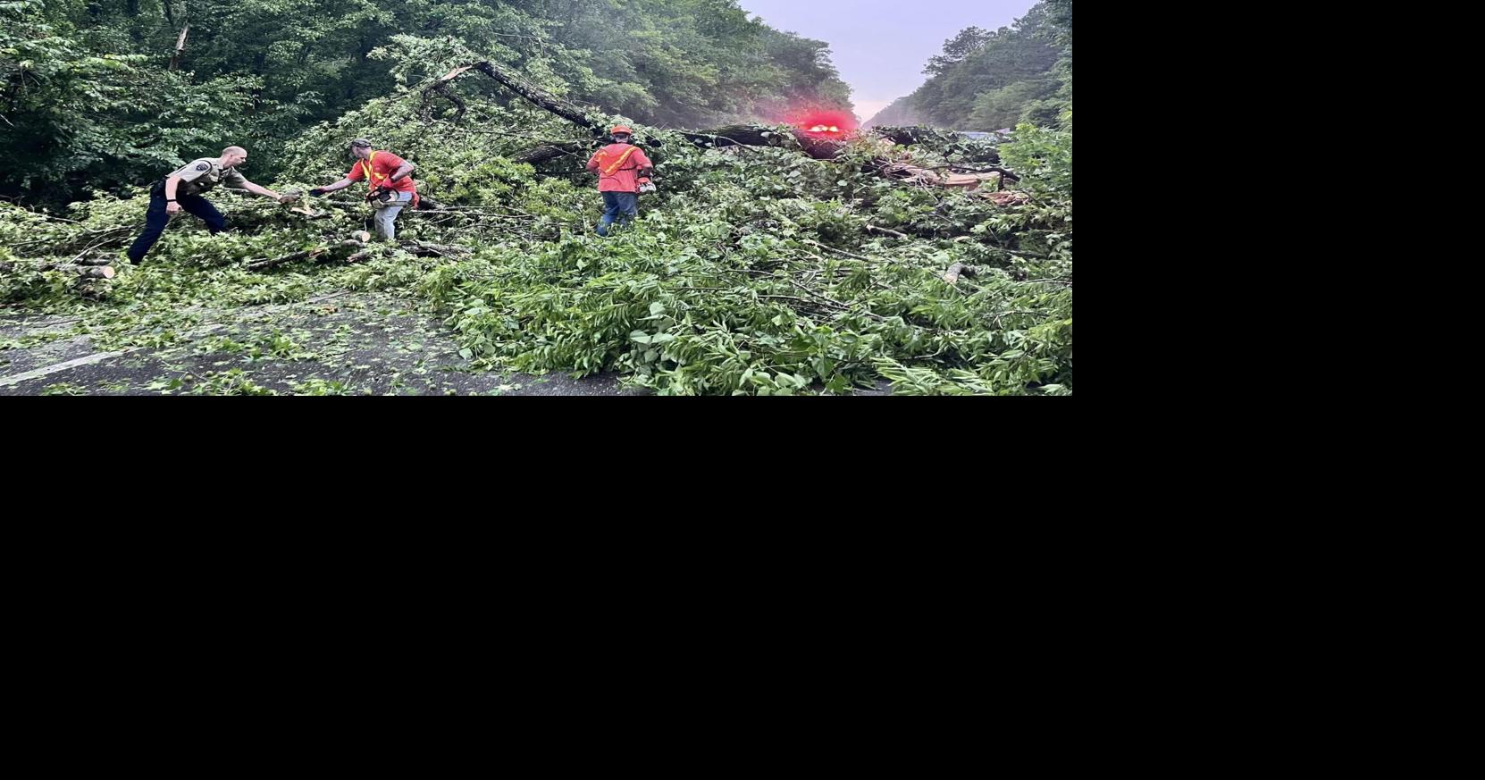Windstorm makes its mark on Central Louisiana | Local News | klax-tv.com