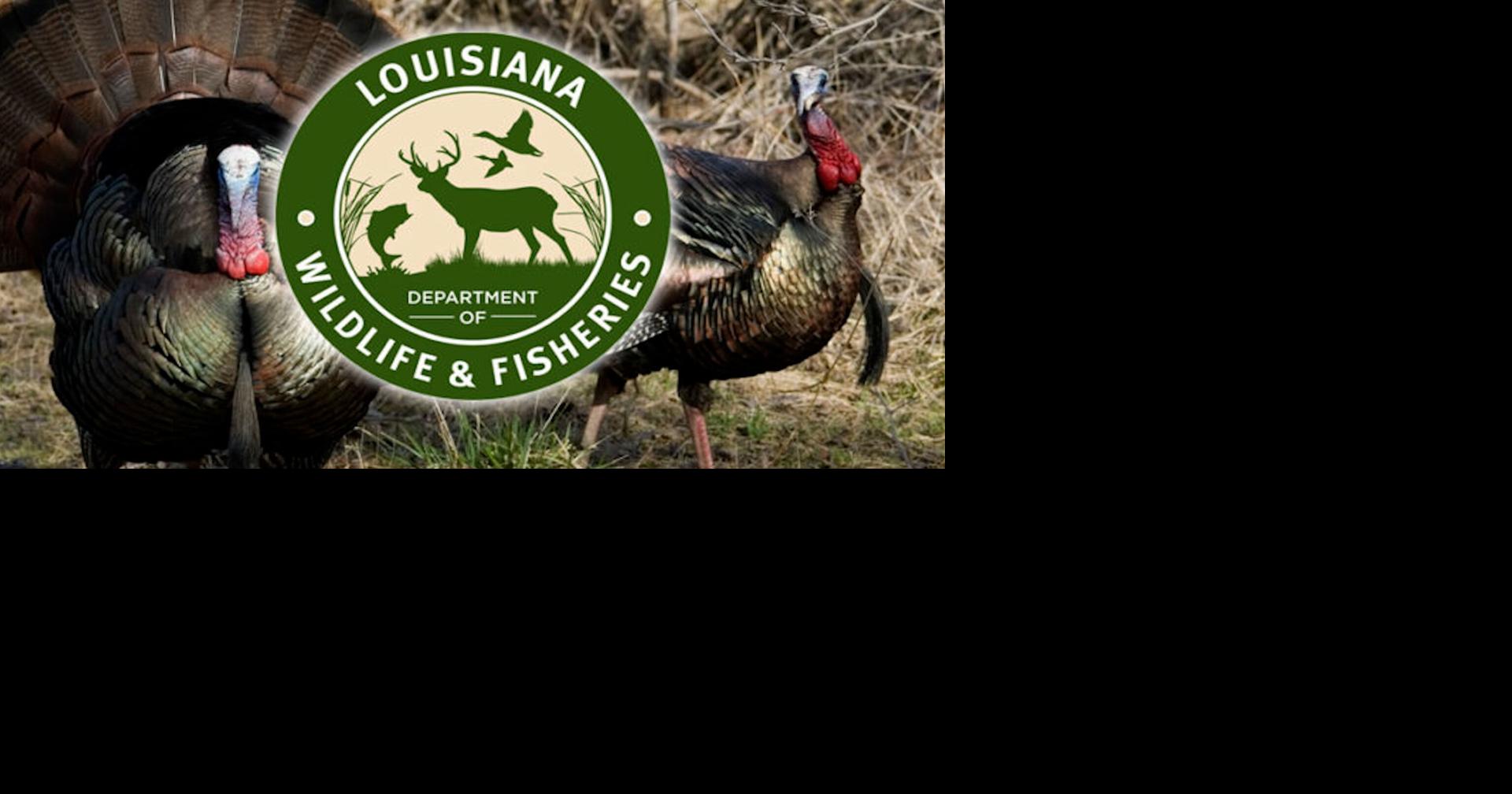 LDWF Accepting Applications for 2026 WMA Lottery Turkey Hunts | News ...