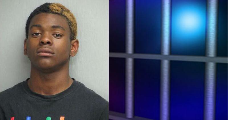 Convicted Felon with a Warrant Found with a Handgun and Booked for the ...