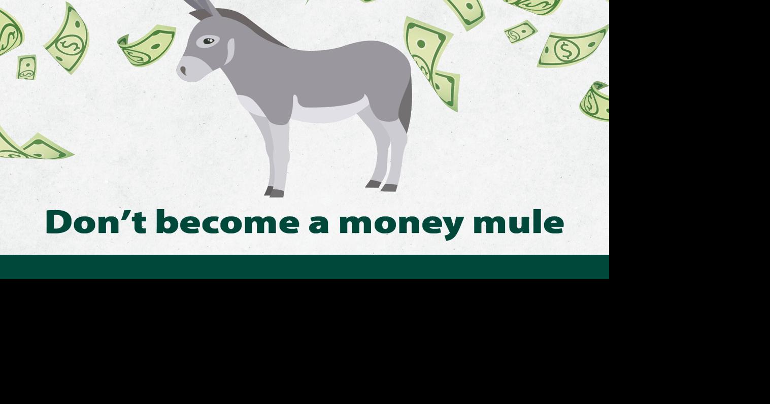 IRS Criminal Investigation Atlanta Field Office warns US taxpayers to ...