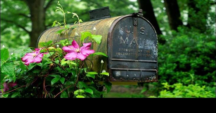 Mailbox Improvement Week Arrives in Time for Spring Cleaning | Local ...